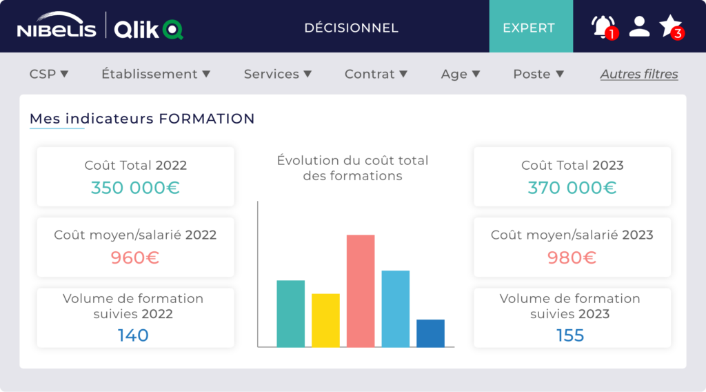 Module Décisionnel – Info Nibelis